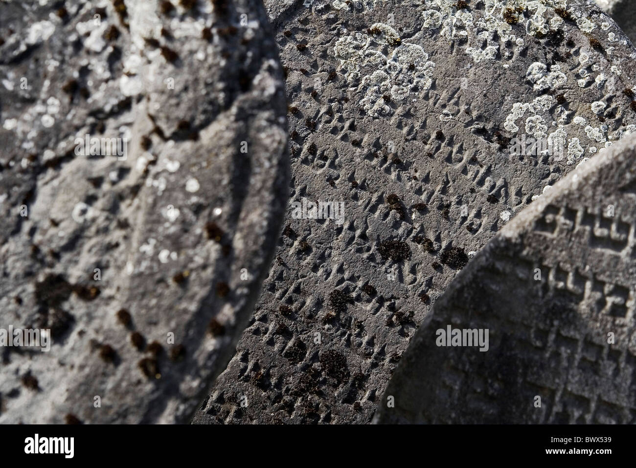 the old jewish tombstone Stock Photo - Alamy