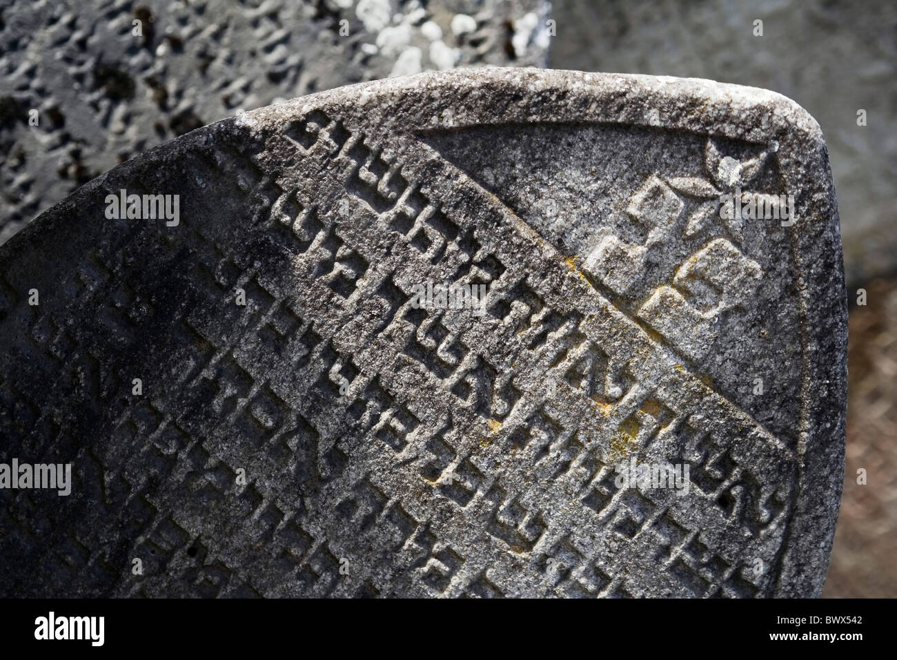 the old jewish tombstone Stock Photo - Alamy