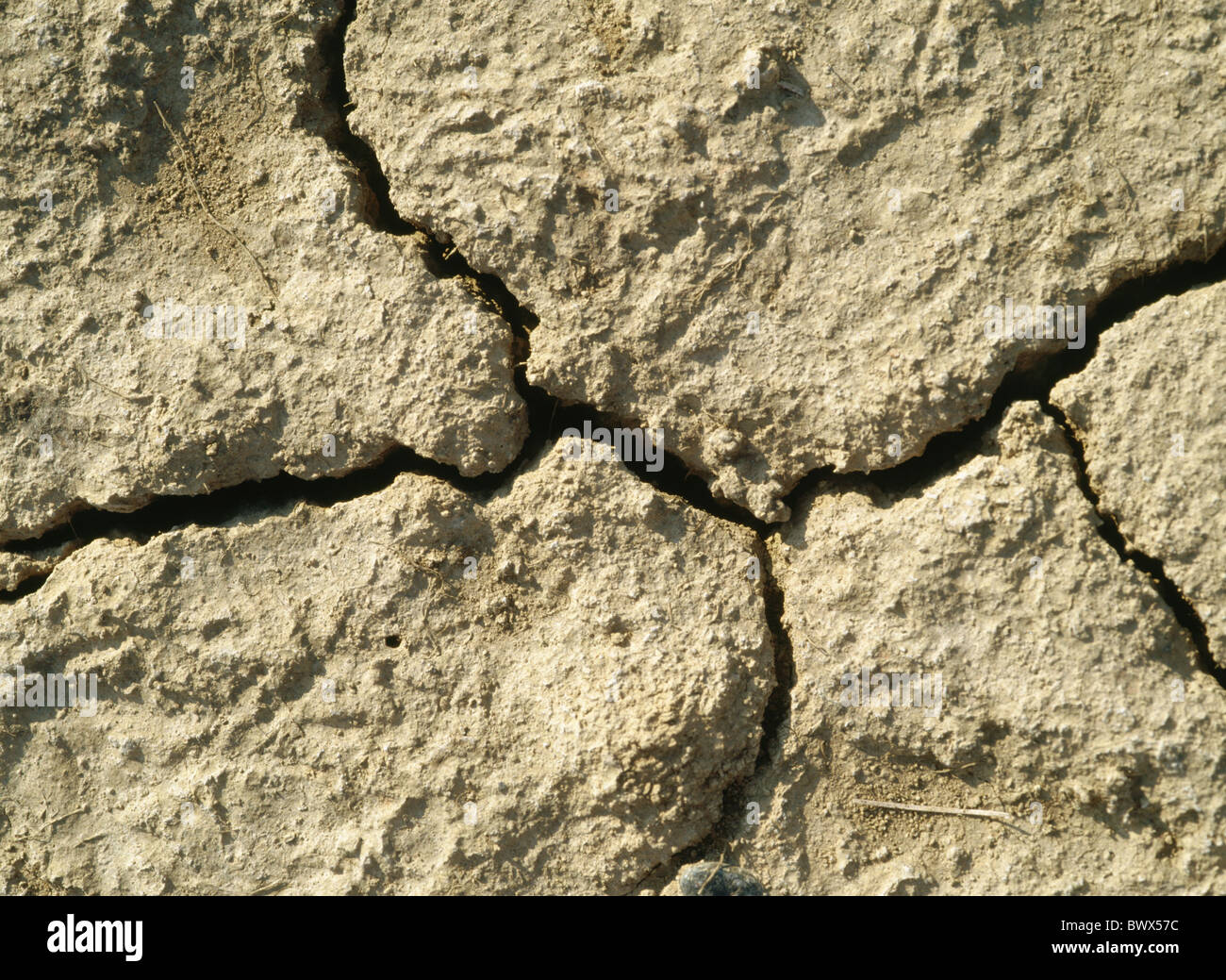 farmland dried out detail dryness heat tears dryness agriculture ground ...