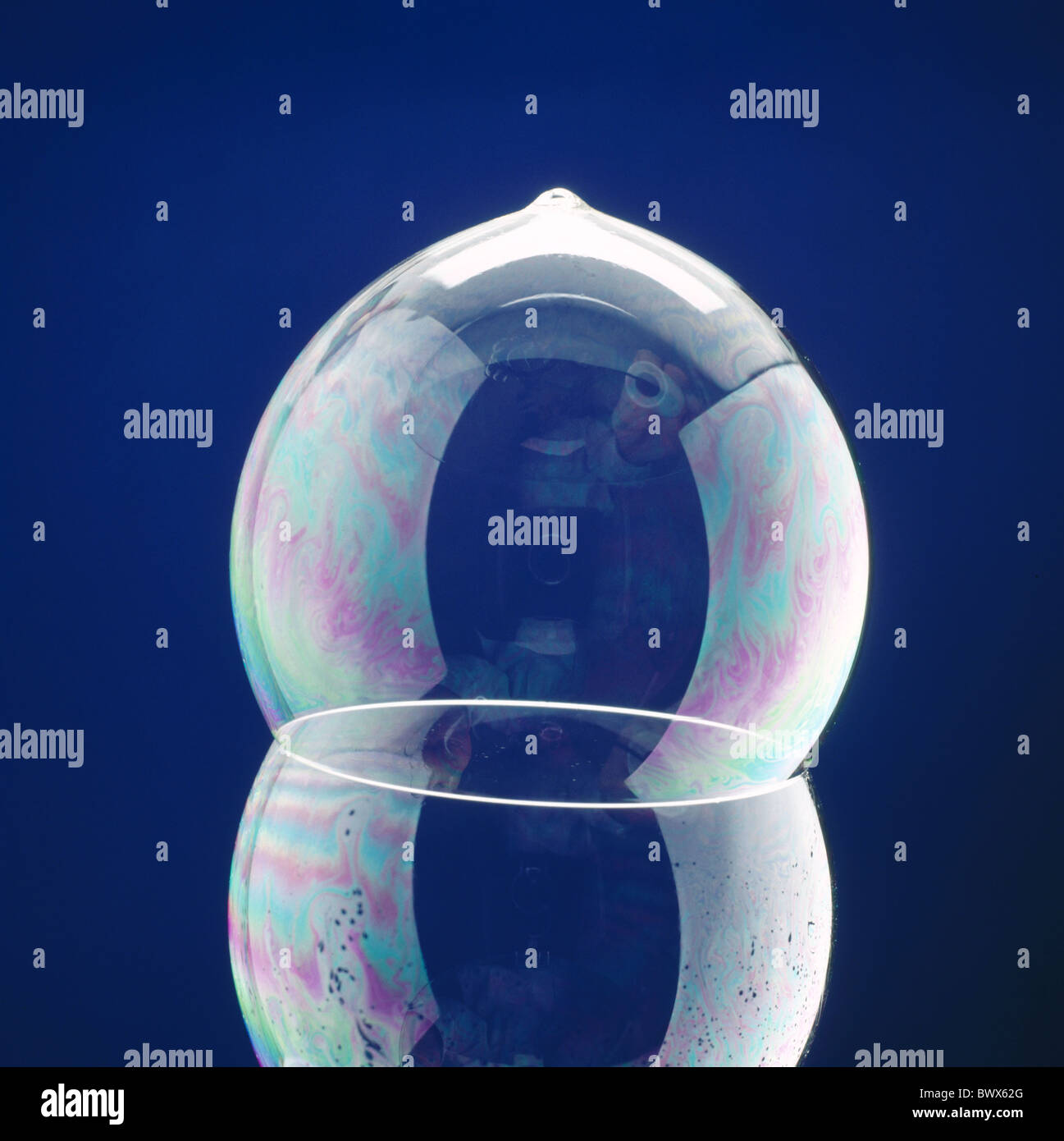 double bubble individual holder owner soap bubble water bubbles ...