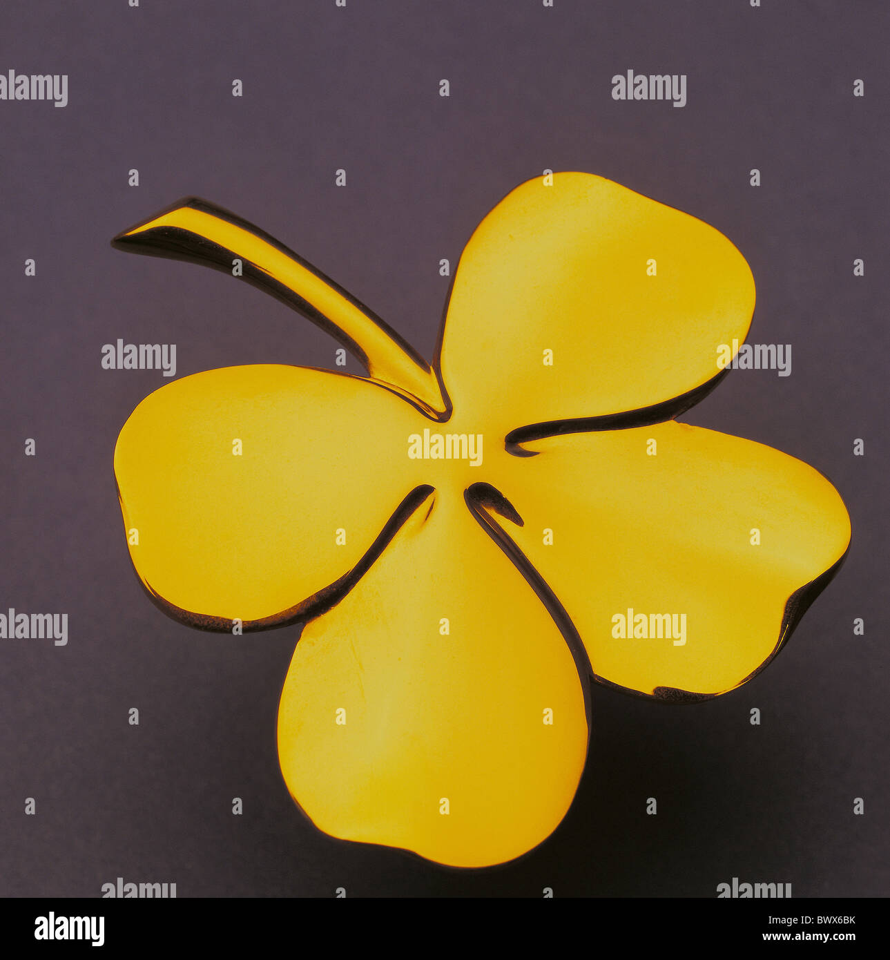 New Year's Eves symbol luck bringer luck happiness 4-leaved cloverleaf ...