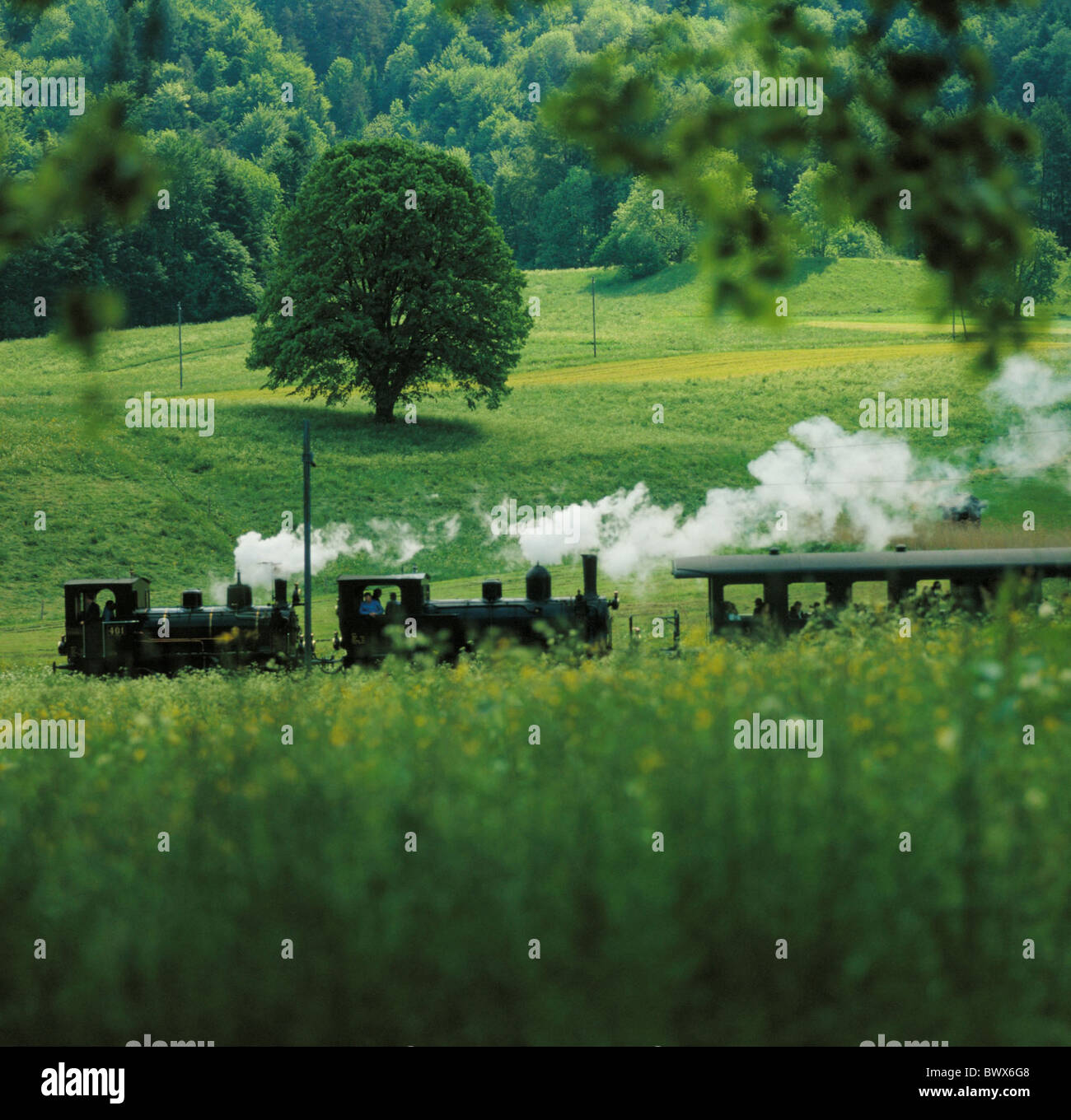 railway steam railroad steam vapor nature meadow two railroad engines ...