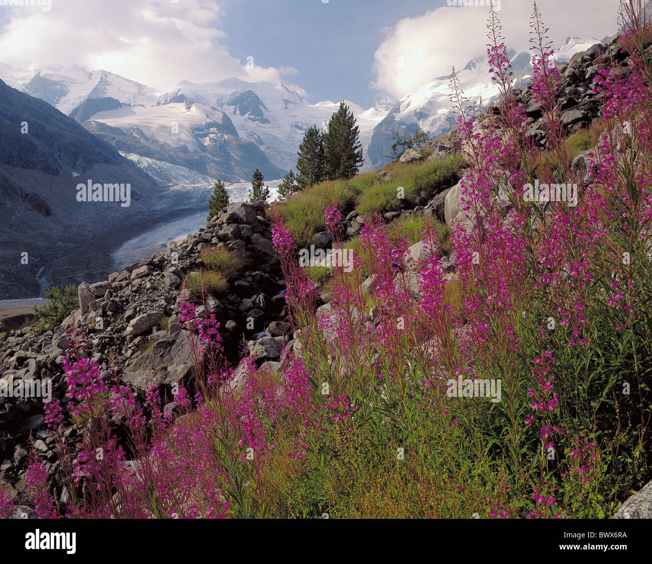 Switzerland Europe Graubunden Grisons Engadine Morteratsch alp ...