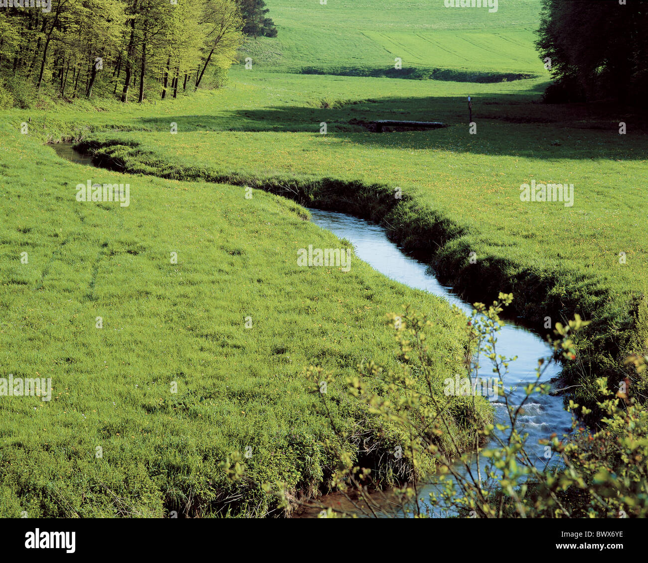 Creek brook meander loops edge of forest meadow spring Stock Photo - Alamy