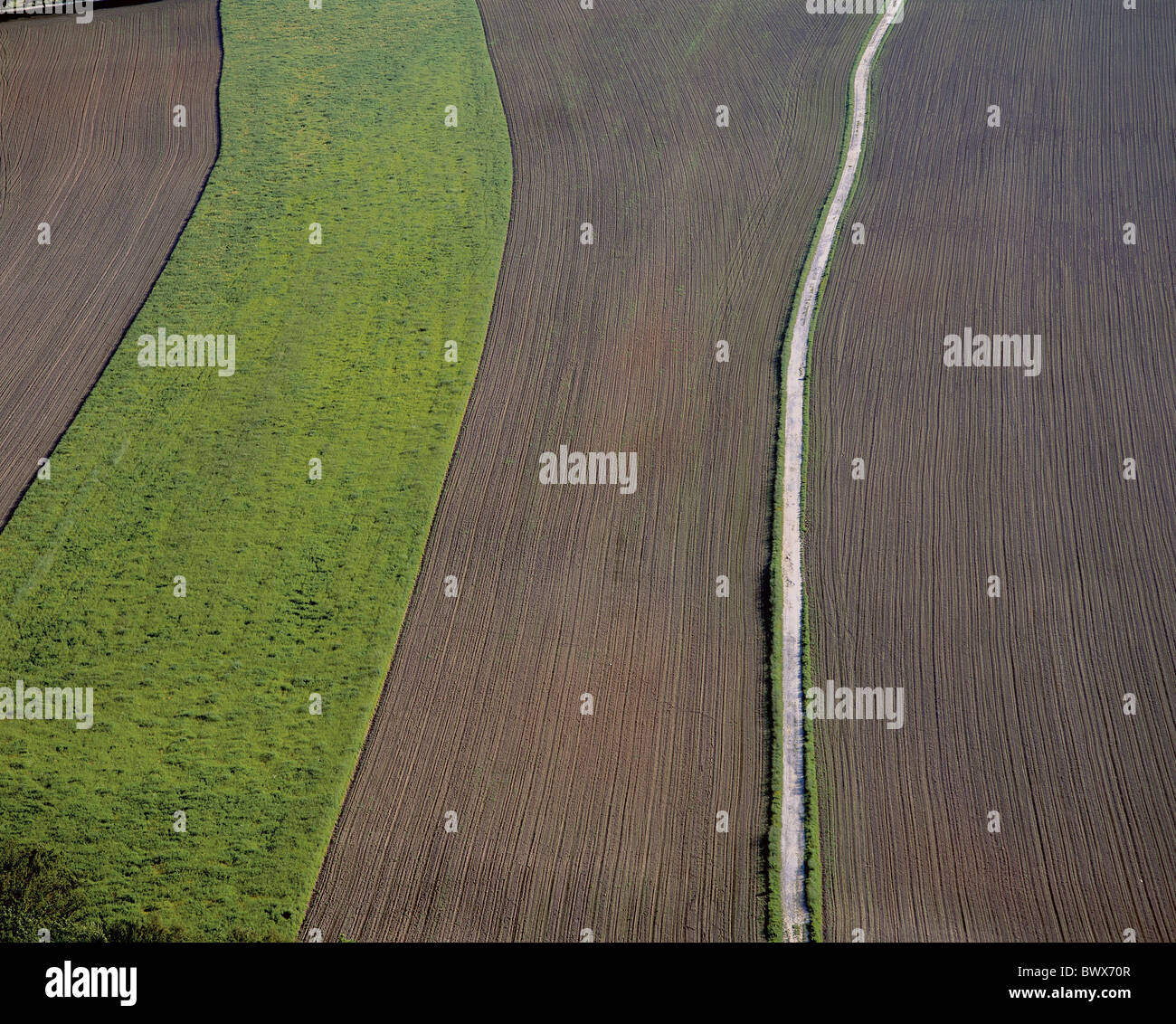 country lane narrowly field broke fields grow aerial photo agriculture ...