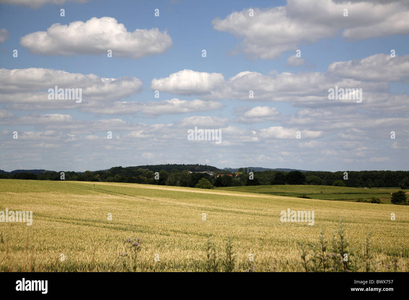 Teterow mecklenburg vorpommern hi-res stock photography and images - Alamy