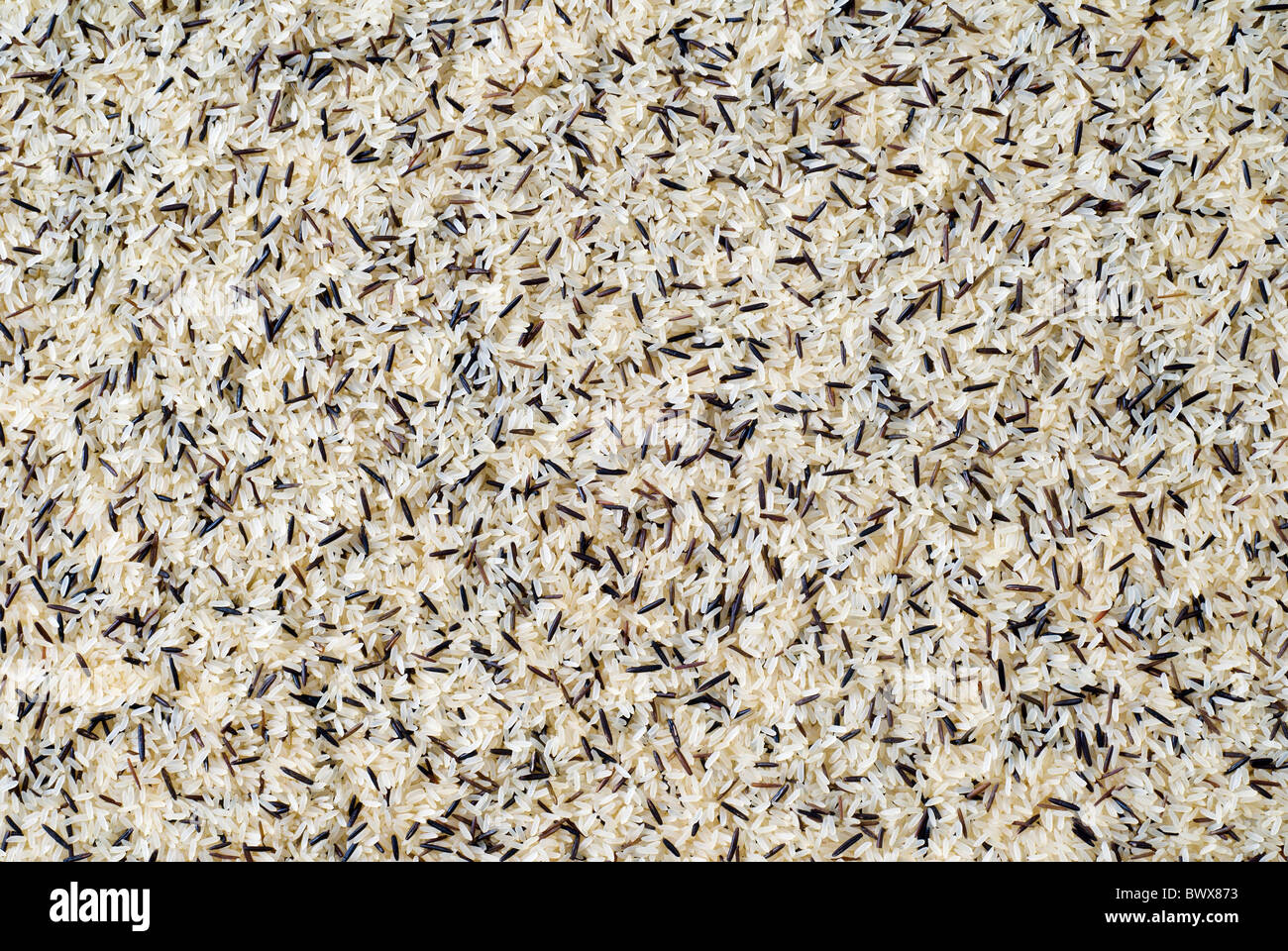 Dry wild rice hi-res stock photography and images - Alamy