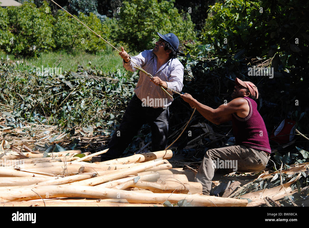 Peasants working field hi-res stock photography and images - Alamy