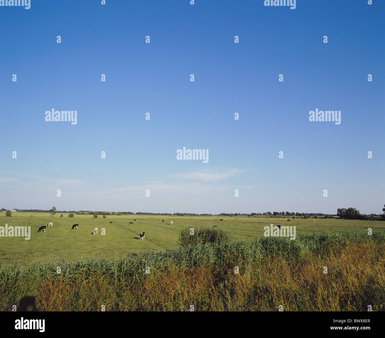 The North Frisians High Resolution Stock Photography and Images - Alamy