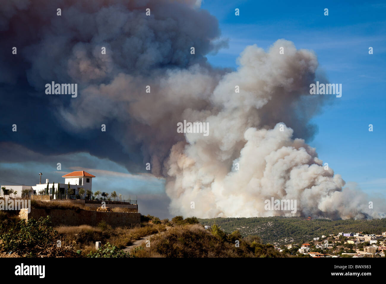 Huge Forest Fire Requires Evacuation of Mount Carmel Residents. Haifa ...