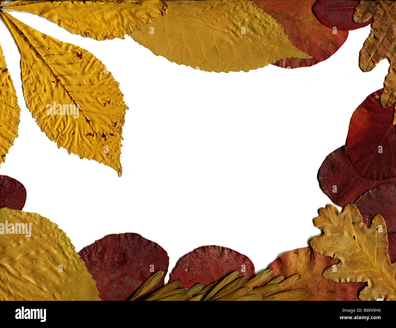 Dry border frame hi-res stock photography and images - Alamy