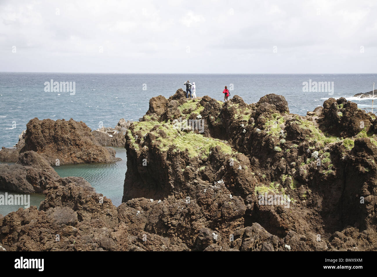 Madeira ocean bank hi-res stock photography and images - Alamy