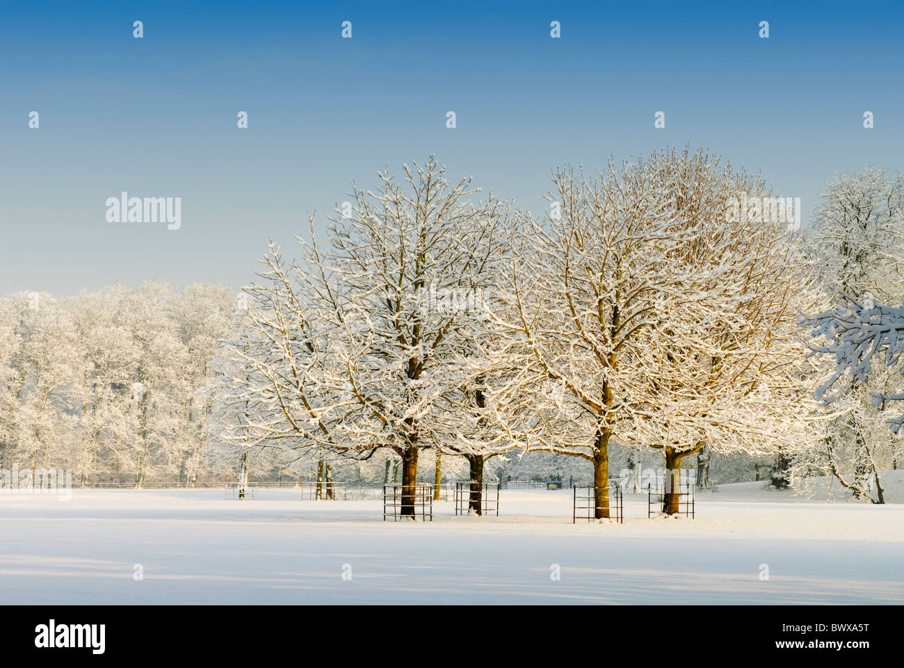 Beautiful winter landscape in the Netherlands ( Elswout Overveen Stock ...