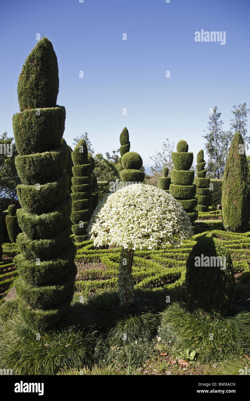 Madeira Funchal Jardim Botanico Botanischer Garten Stock Photo - Alamy