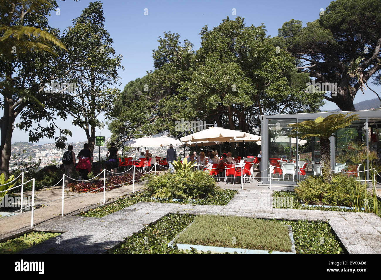Madeira Funchal Jardim Botanico Botanischer Garten Stock Photo - Alamy