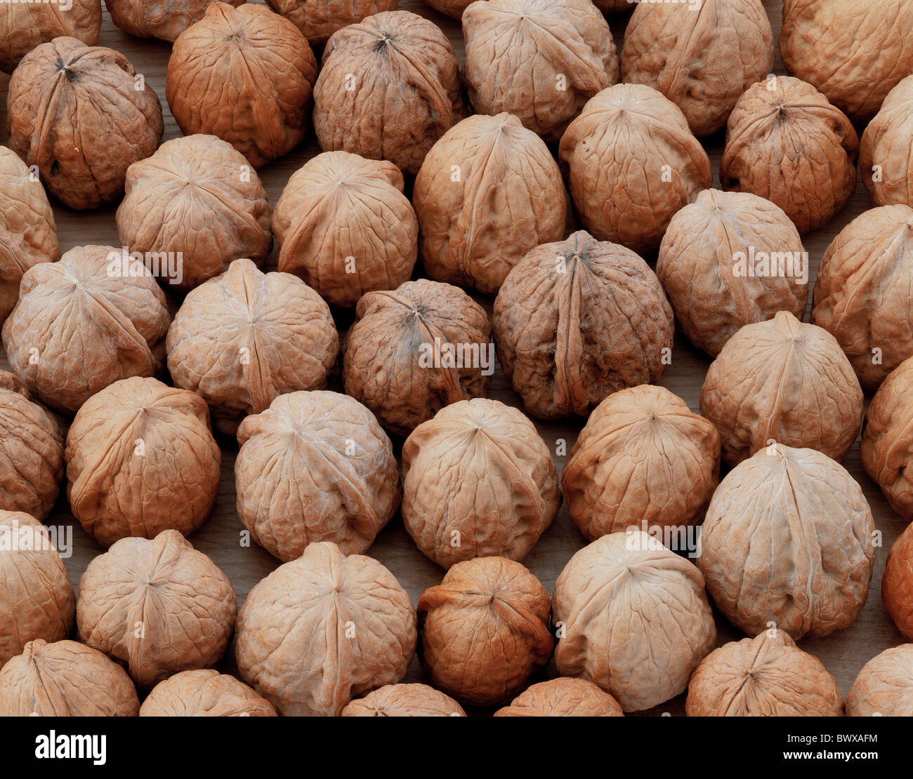 10263604 hi-res stock photography and images - Alamy