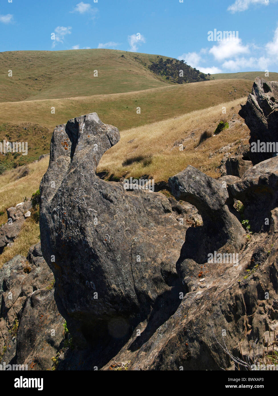 ROCKY OUTCROP , DEEP CREEK CONSERVATION PARK, FLEURIEU PENINSULA SOUTH ...
