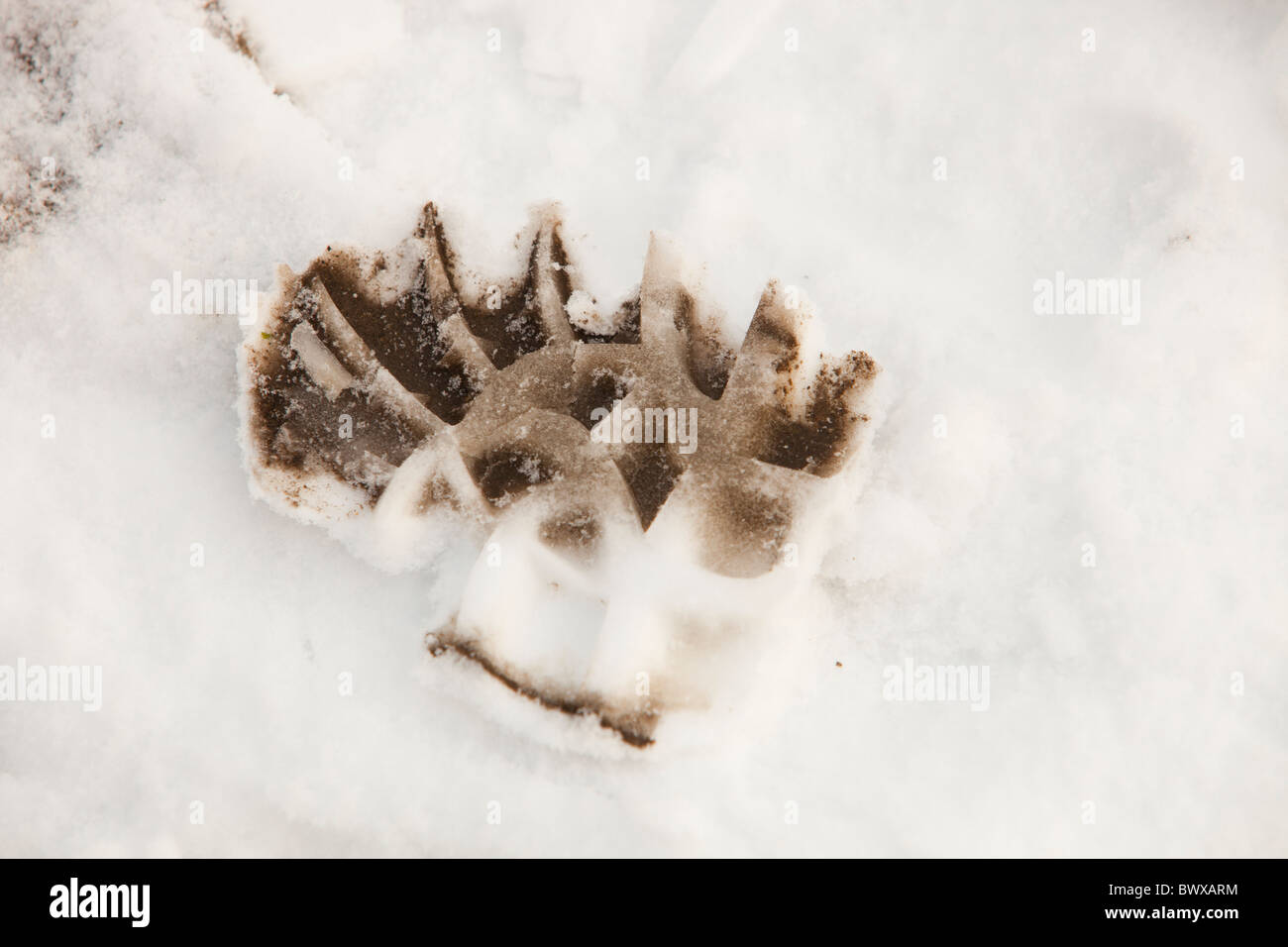 The tread pattern from a walking boot in snow Stock Photo - Alamy