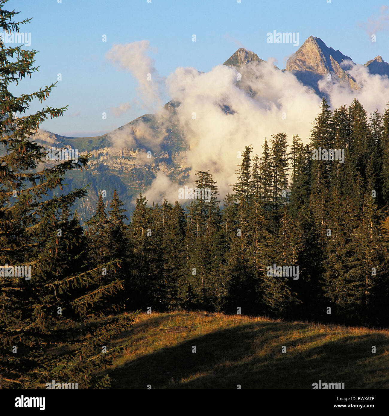 Churfirsten summit peak scenery Switzerland Europe canton St. Gallen ...