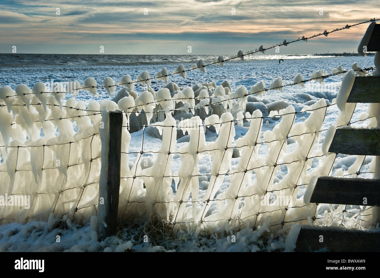 cold winter landscape with a fence covered in ice Stock Photo - Alamy