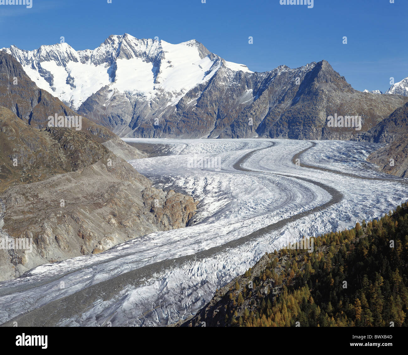 Aletsch glacier glacier Switzerland Europe runner ice summit peak ...