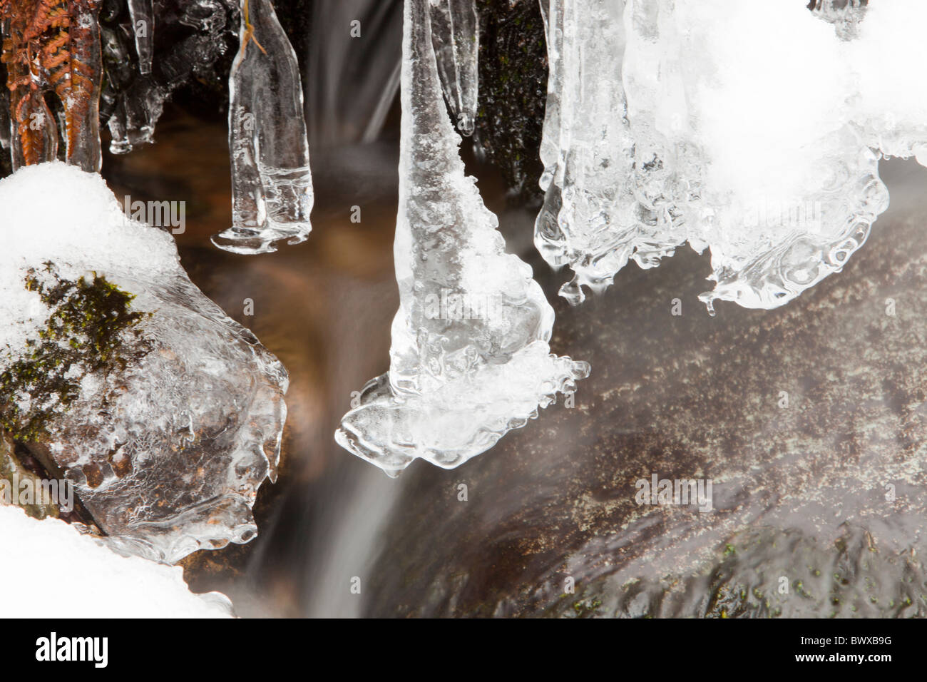 Frigid stream water hi-res stock photography and images - Alamy