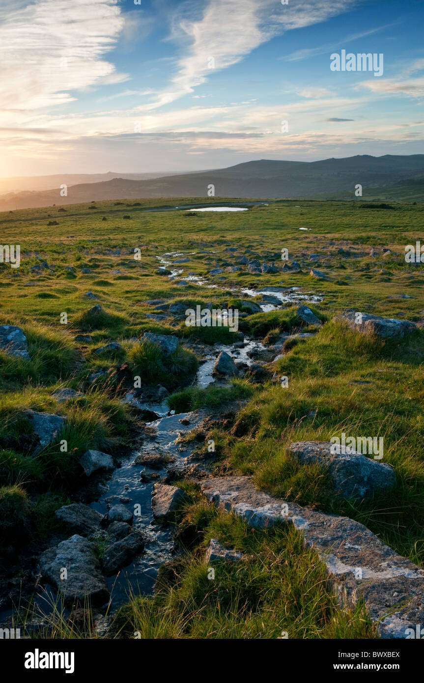 Stream hillside High Resolution Stock Photography and Images - Alamy