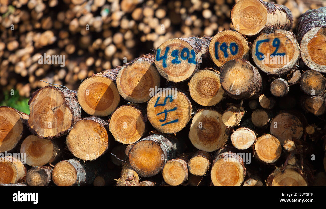 Details numbered hi-res stock photography and images - Alamy