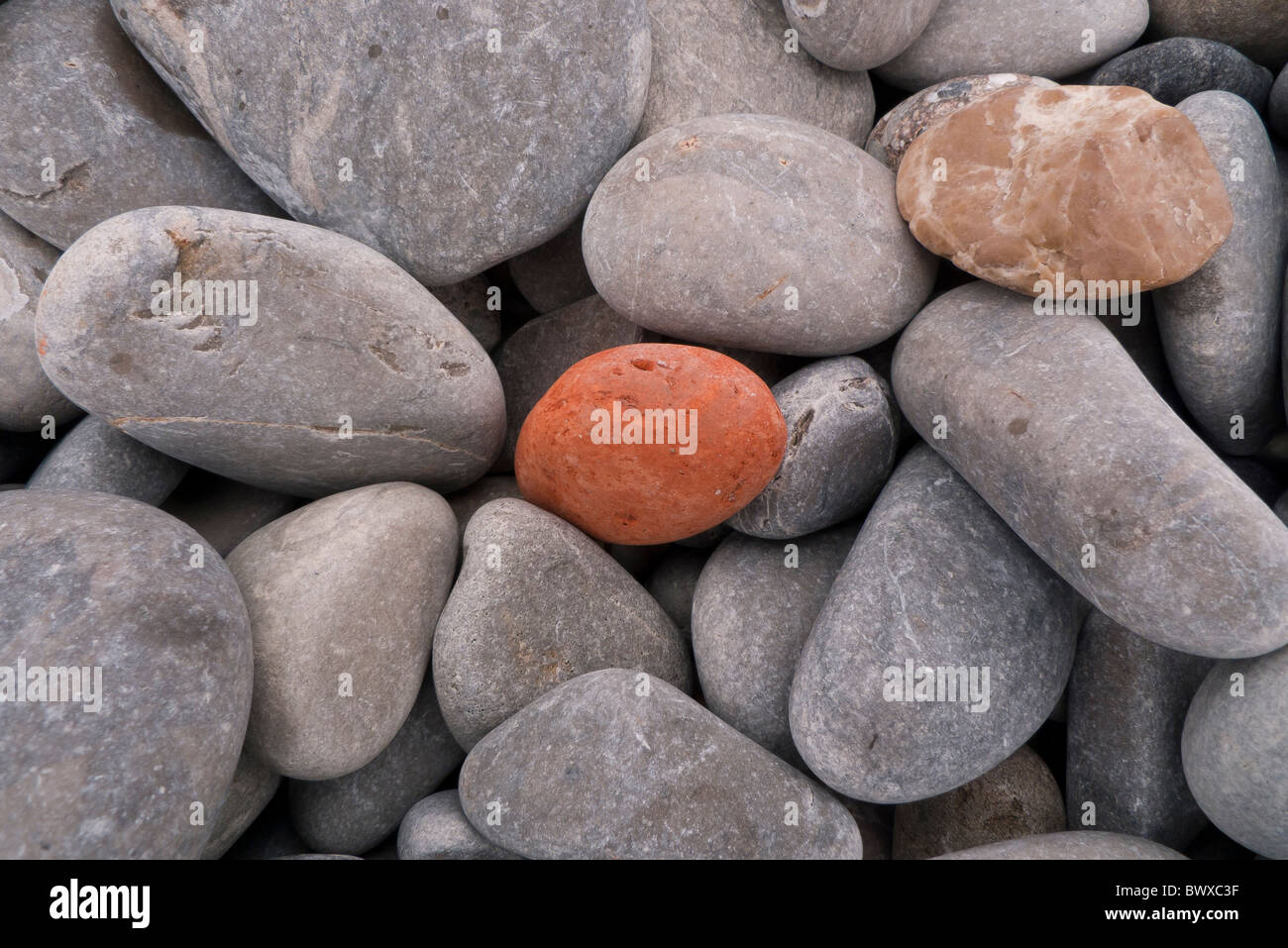 Round stones on the beach hi-res stock photography and images - Alamy