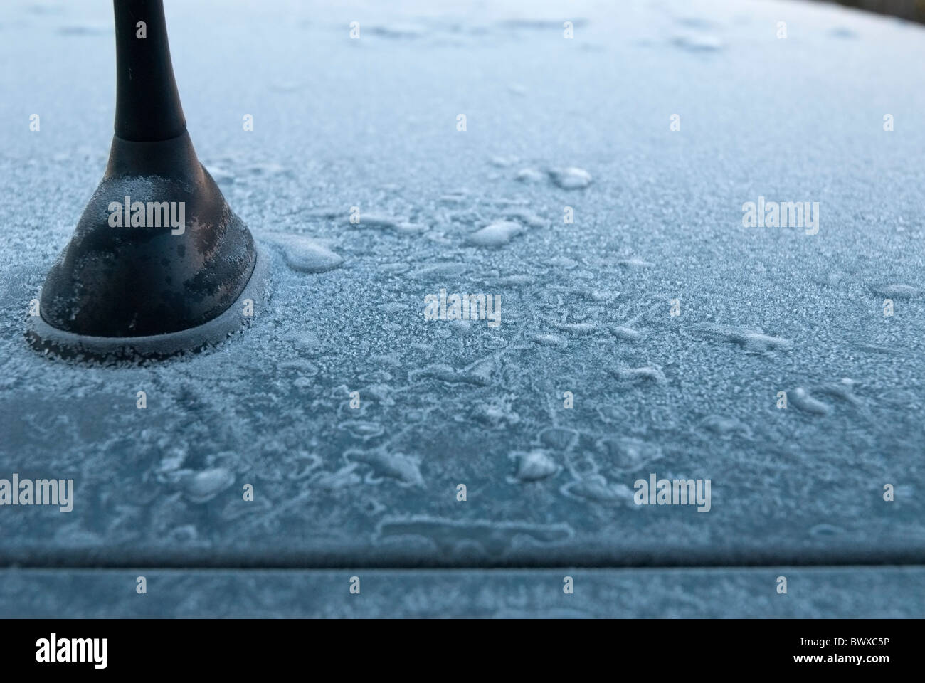 Ice on Car Roof Stock Photo - Alamy