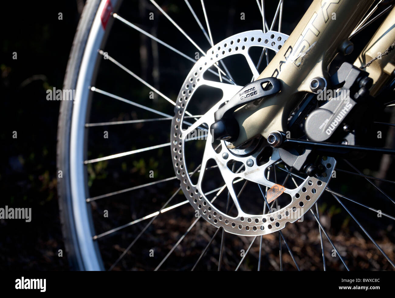 Shimano hydraulic disc brakes in bicycle front wheel Stock Photo - Alamy