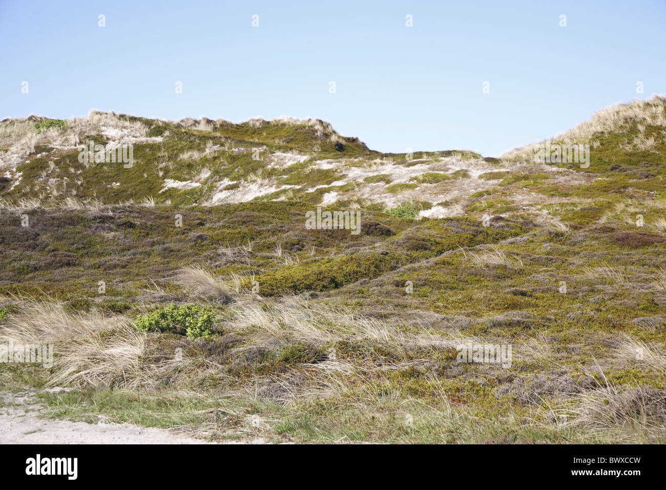 Hoernum insel sylt island sylt hi-res stock photography and images - Alamy