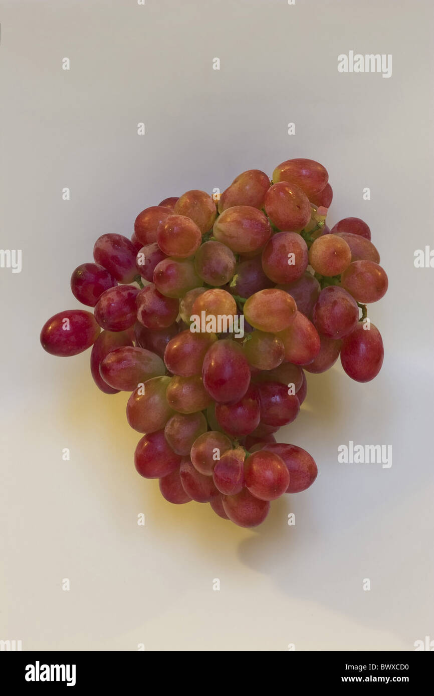Bunched vine hi-res stock photography and images - Alamy