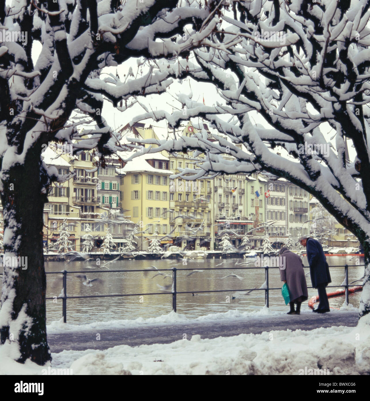 trees facades Lucerne promenade Reuss river flow Switzerland Europe ...