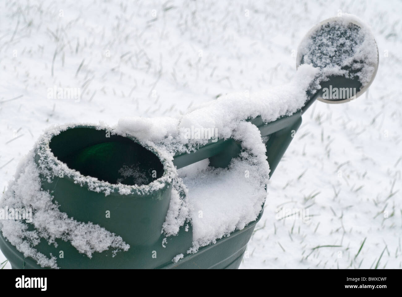 Snow on Watering Can Standing on Snow Covered Lawn Stock Photo - Alamy