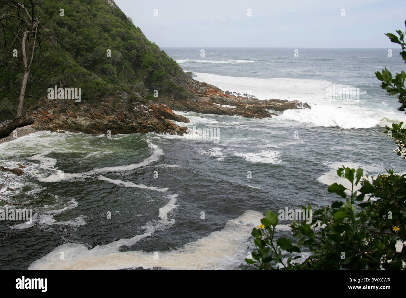Storms River Mouth, Tsitsikamma Nature Reserve, South Africa Stock ...