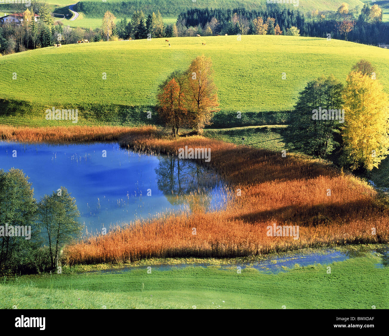view Germany Europe Dresden park Saxon castle Moritzburg pond Stock ...