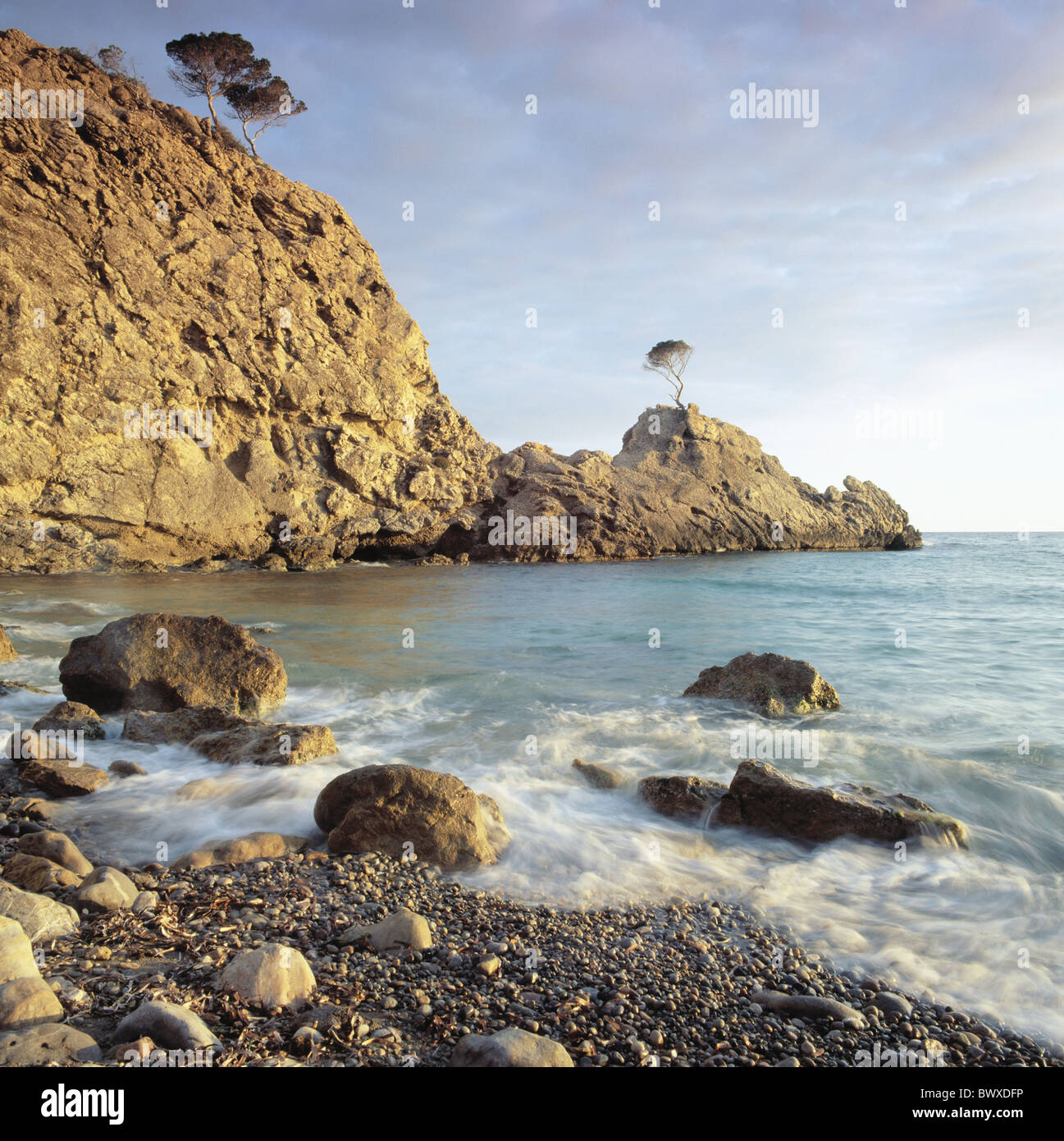rocks cliffs pebbles coast sea Majorca pine trees foam crowns Spain ...