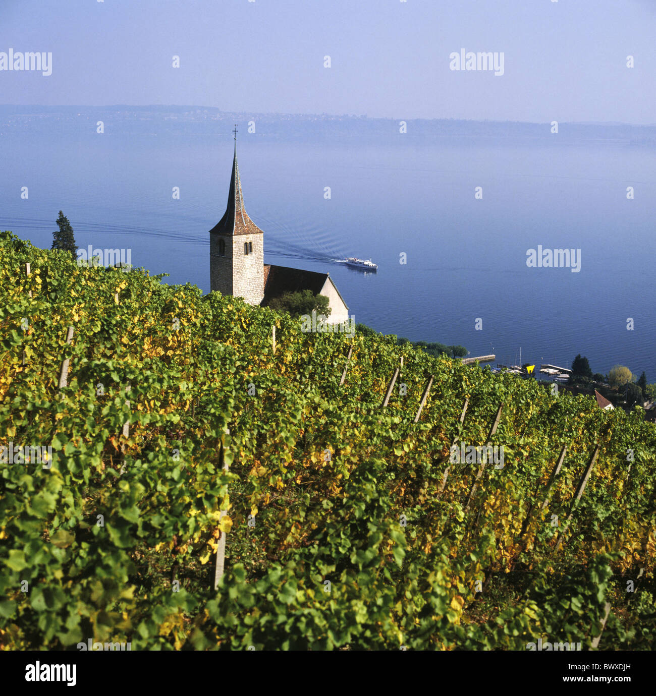Bern lake Biel lake sea church Ligerz vineyards Switzerland Europe ...