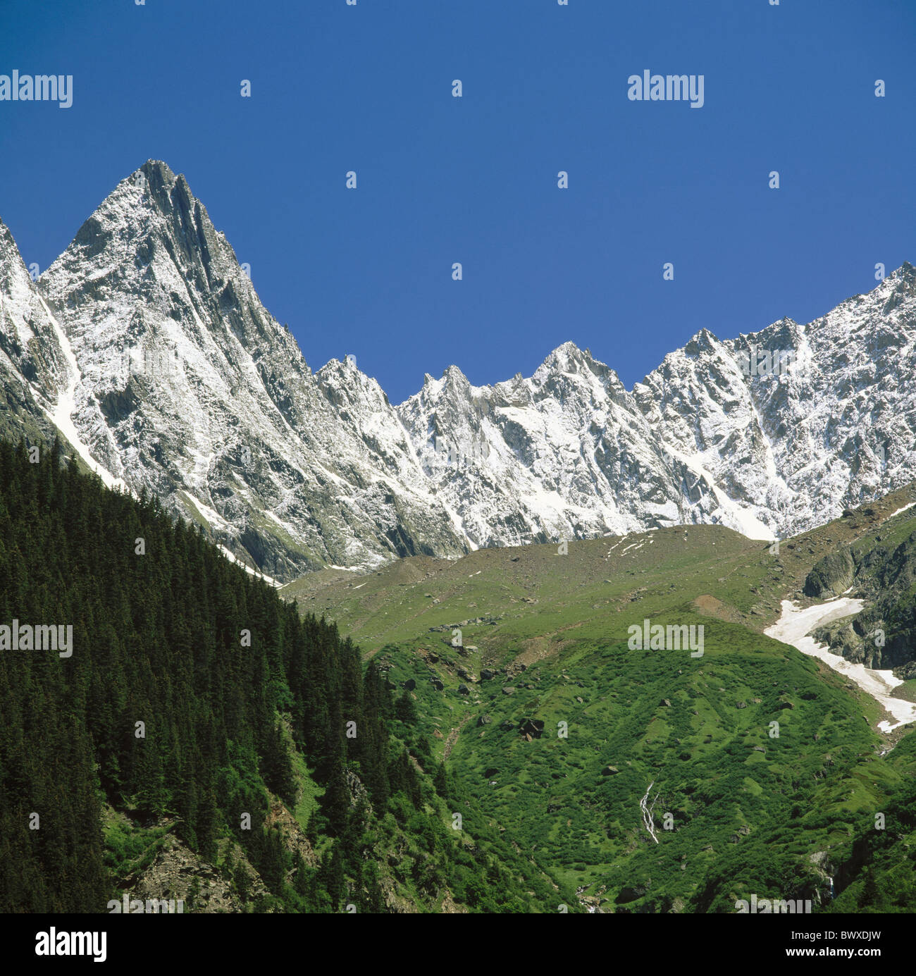 alpine Alps mountains mountain range Bern Haslital close near Rhone ...