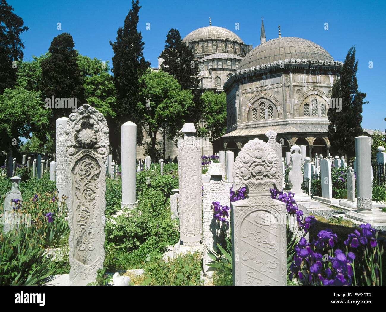 trees cemetery graves gravestones Istanbul Suleymaniye mosque Turkey ...