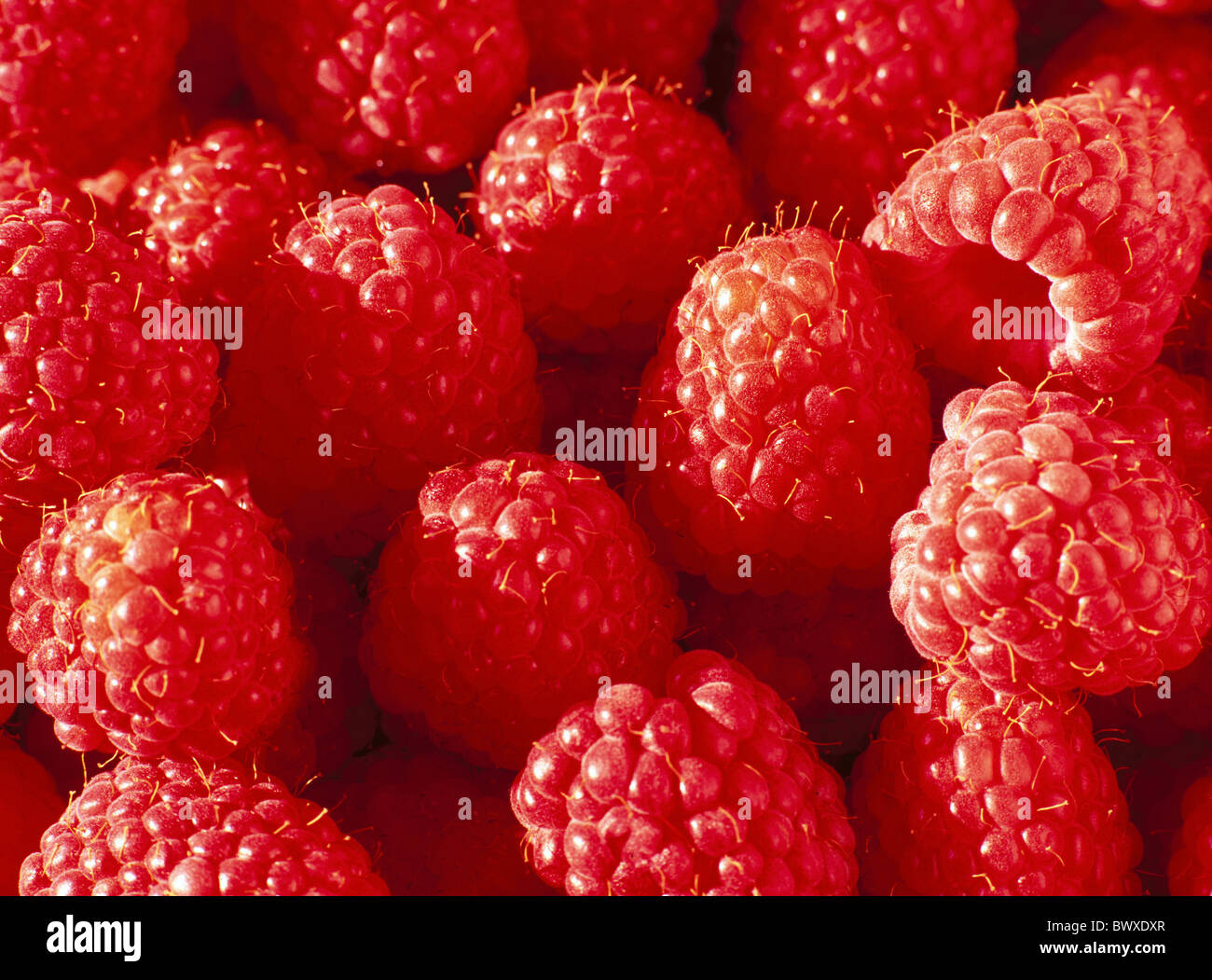 berries format-filling fruits raspberries food eating Stock Photo - Alamy