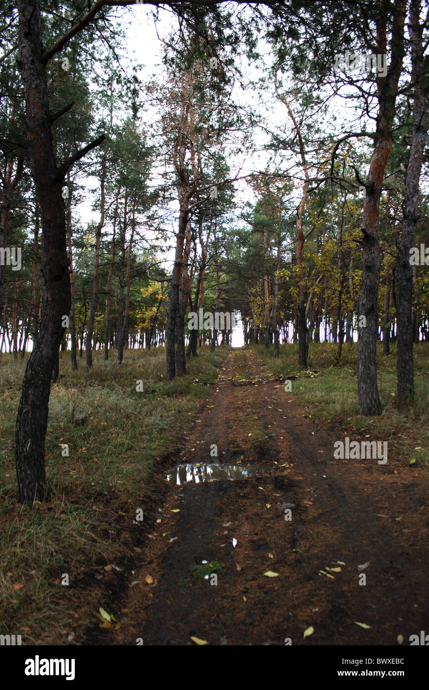 European pathway hi-res stock photography and images - Alamy