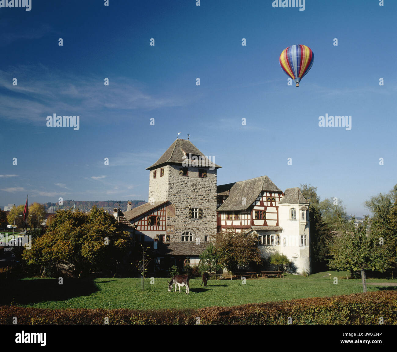 donkey garden hot-air balloon castle Hegi Switzerland Europe Winterthur ...