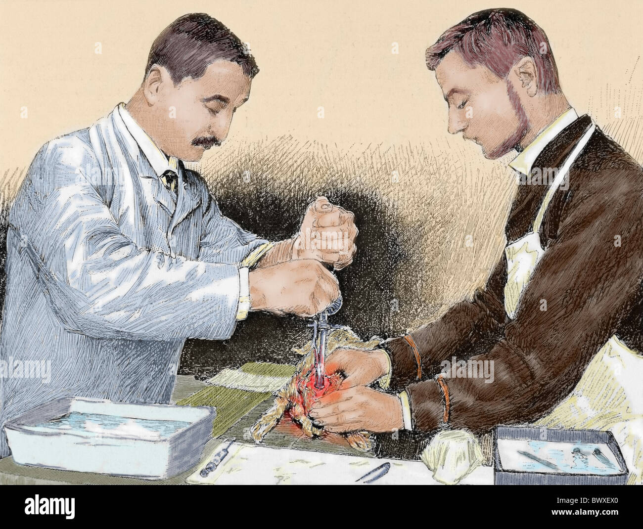 Louis Pasteur Rabies Experiment