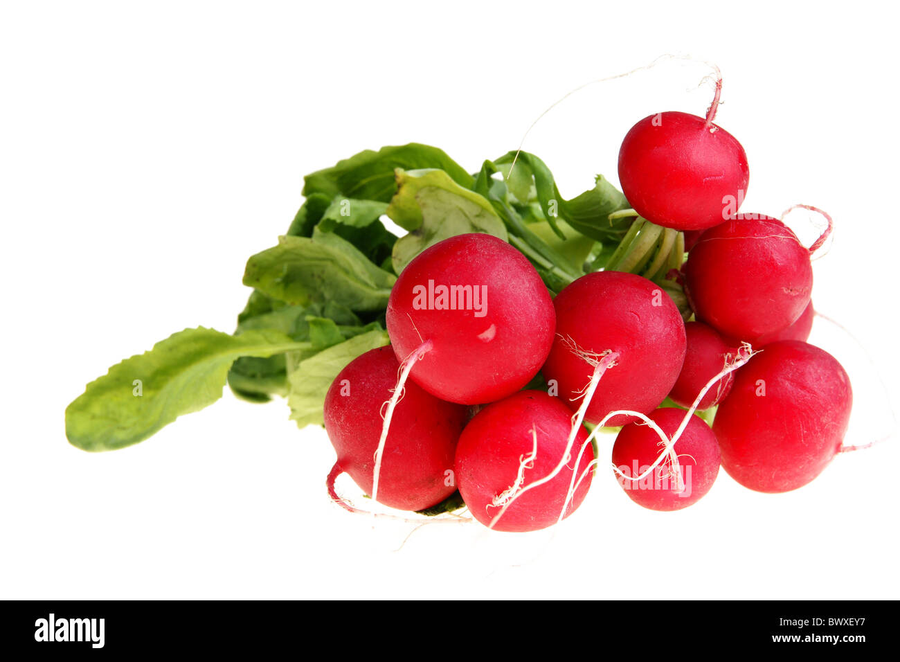 Bunch of red radish isolated on white background Stock Photo - Alamy
