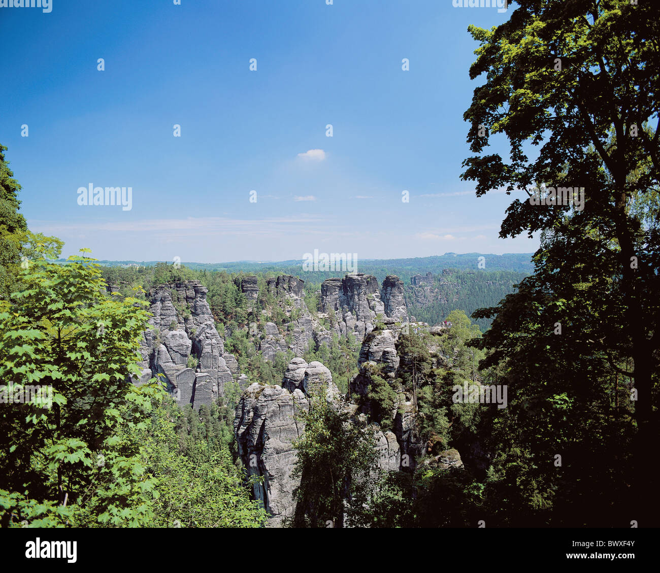 Germany Europe Saxony scenery rock cliff wood forest ...