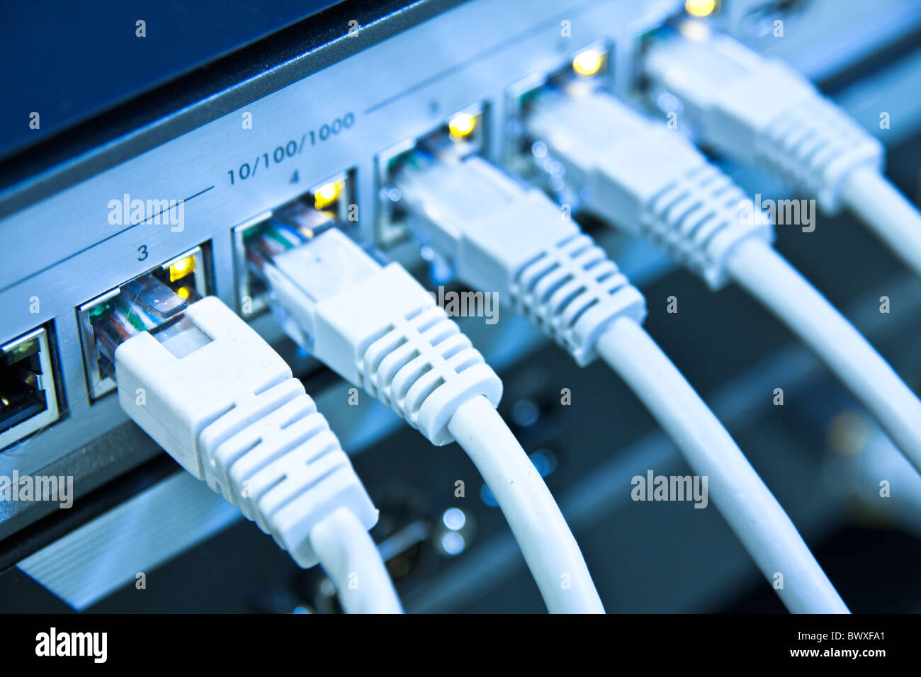 network cables RJ45 connected to a switch Stock Photo - Alamy