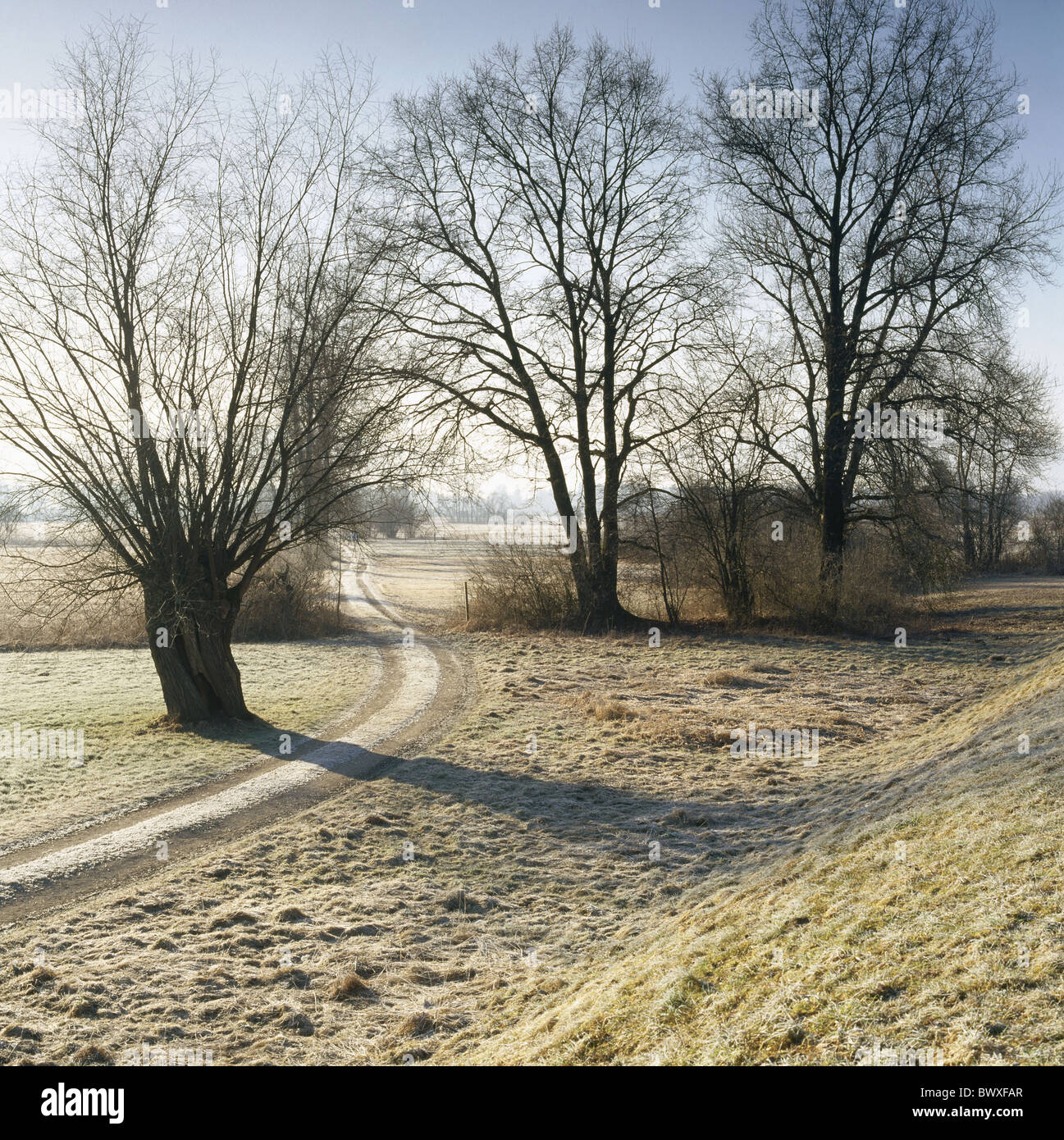 Mead lane hi-res stock photography and images - Alamy