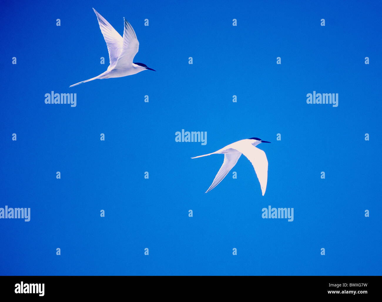 10314354 hi-res stock photography and images - Alamy